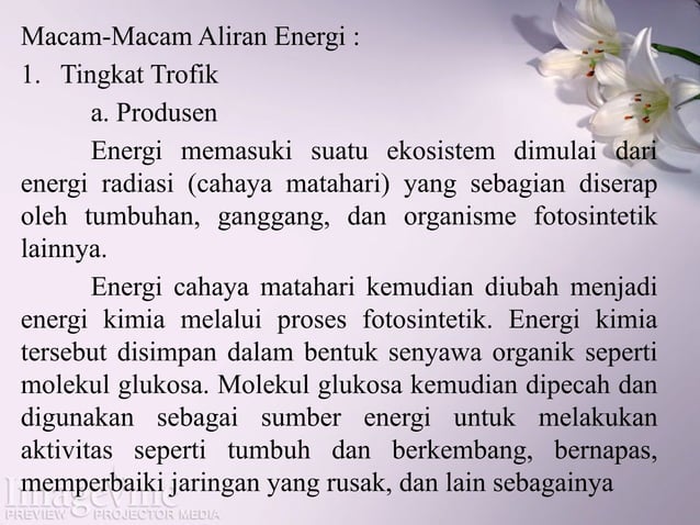 aliran energi ekosistem pada ipajjjjjjjjj | PPTX