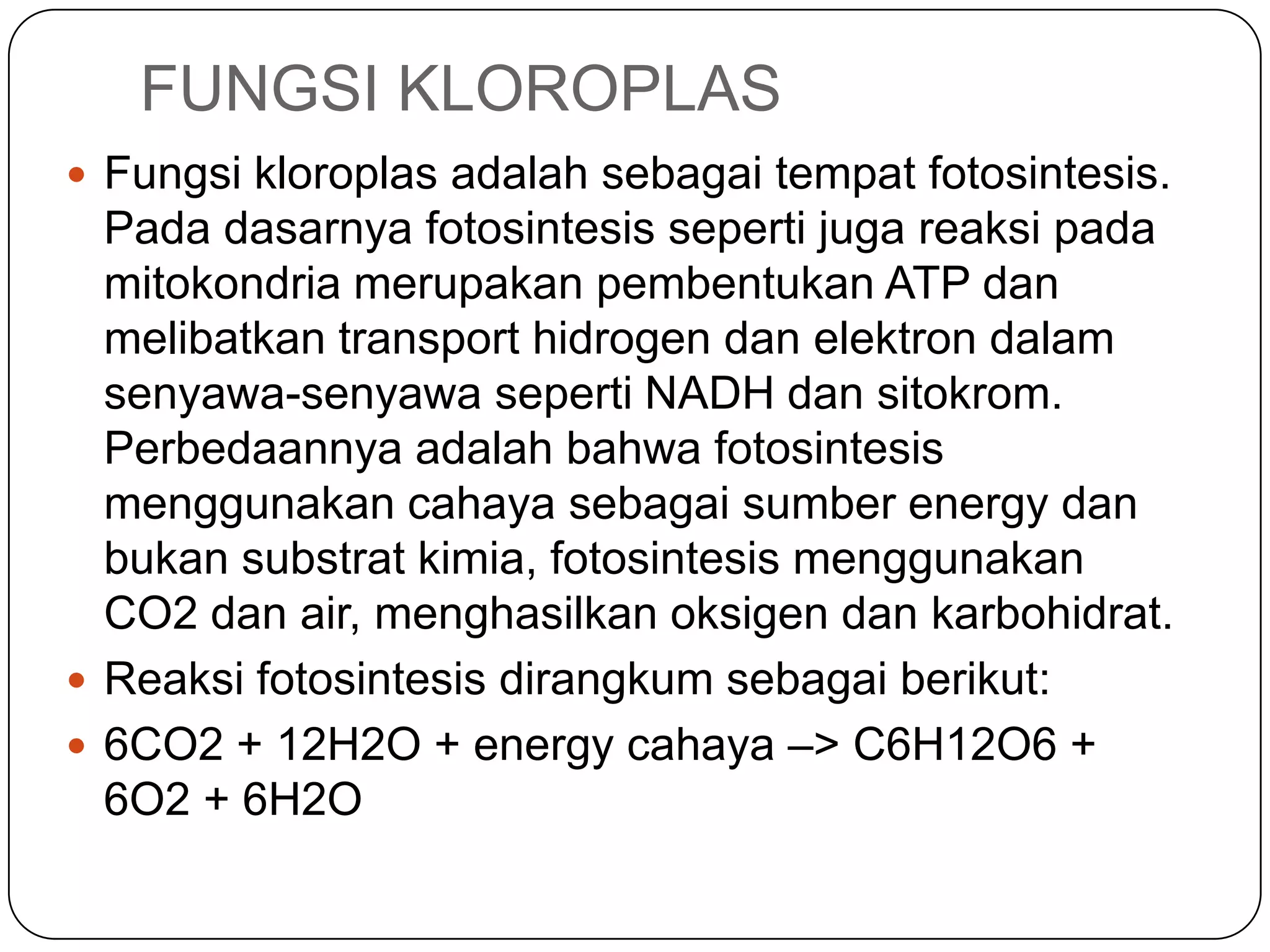 PPT kloroplas | PPTX