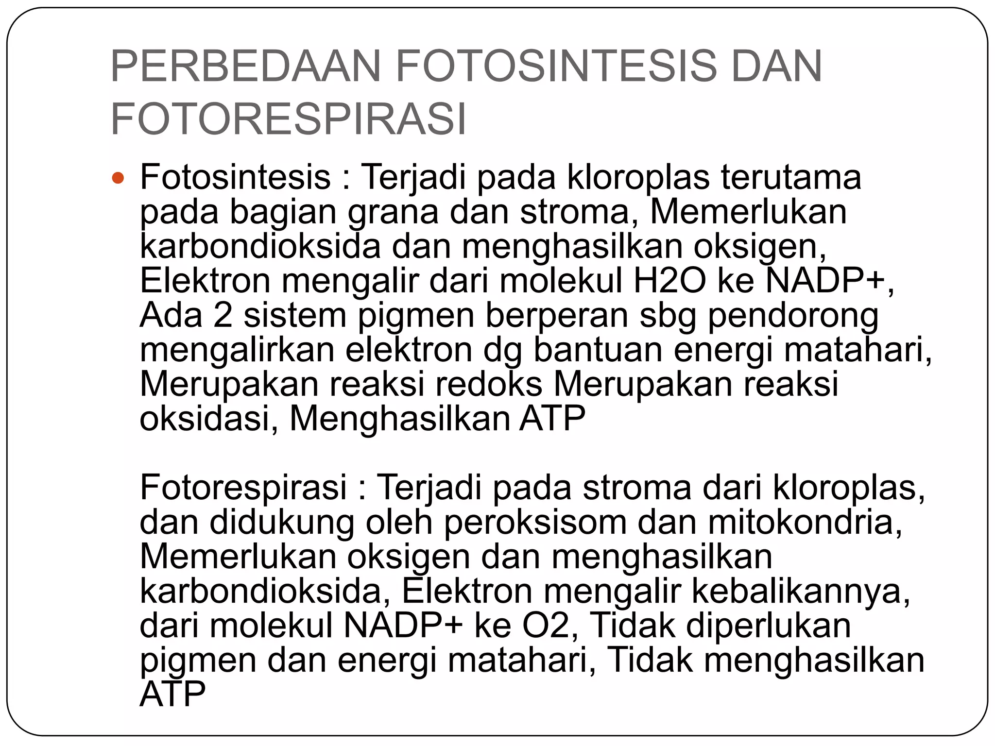 PPT KLOROPLAS | PPTX