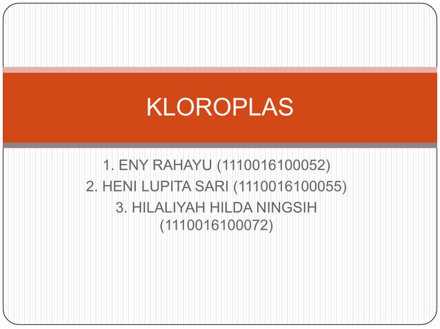 PPT KLOROPLAS | PPTX