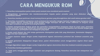 PPT Kelompok 1 Pengukuran Fisioterapi.pdf