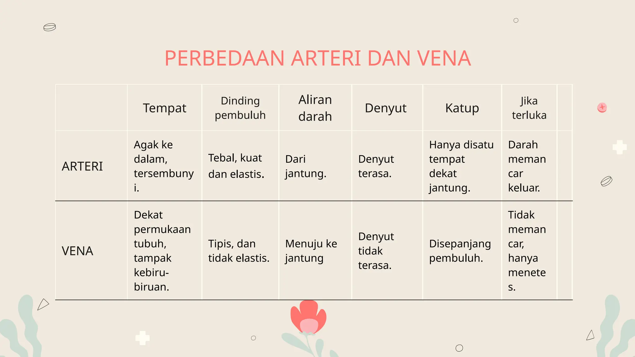 PPT KLP 2 (ANATOMI FISIOLOGI PEMBULUH DARAH) - Copy.pptx