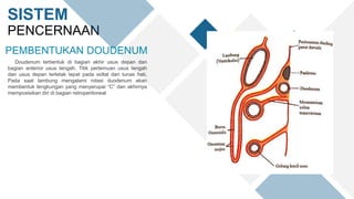 PPT Klp 3 Pembentukan Mata dan Pencernaan.pptx