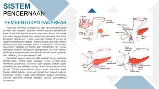 PPT Klp 3 Pembentukan Mata dan Pencernaan.pptx