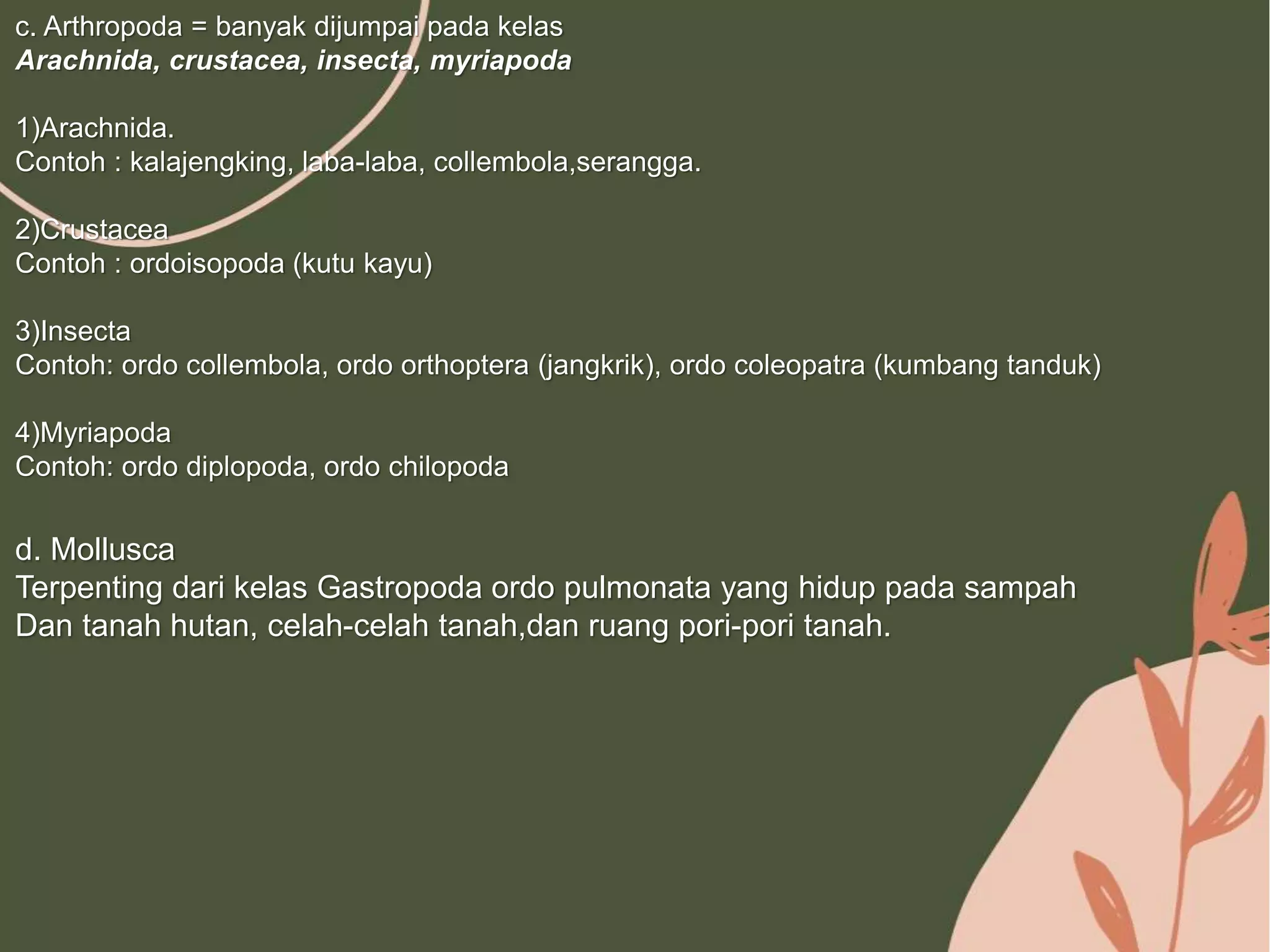 ppt TANAH kls 9.pptx