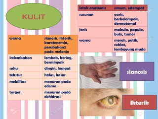 Pemeriksaan integritas kulit dan jaringan | PPTX