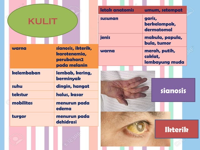 Pemeriksaan integritas kulit dan jaringan | PPT