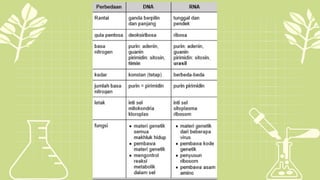 PPT Kode Genetika Biologi Kelas XI 1.pptx