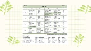 PPT Kode Genetika Biologi Kelas XI 1.pptx