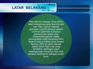 KOI HERPES VIRUS (KHV) PADA IKAN KOI (Cyprinus carpio) | PPT