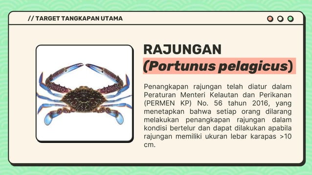 PPT KOLAB TPI KEL 14.pptx