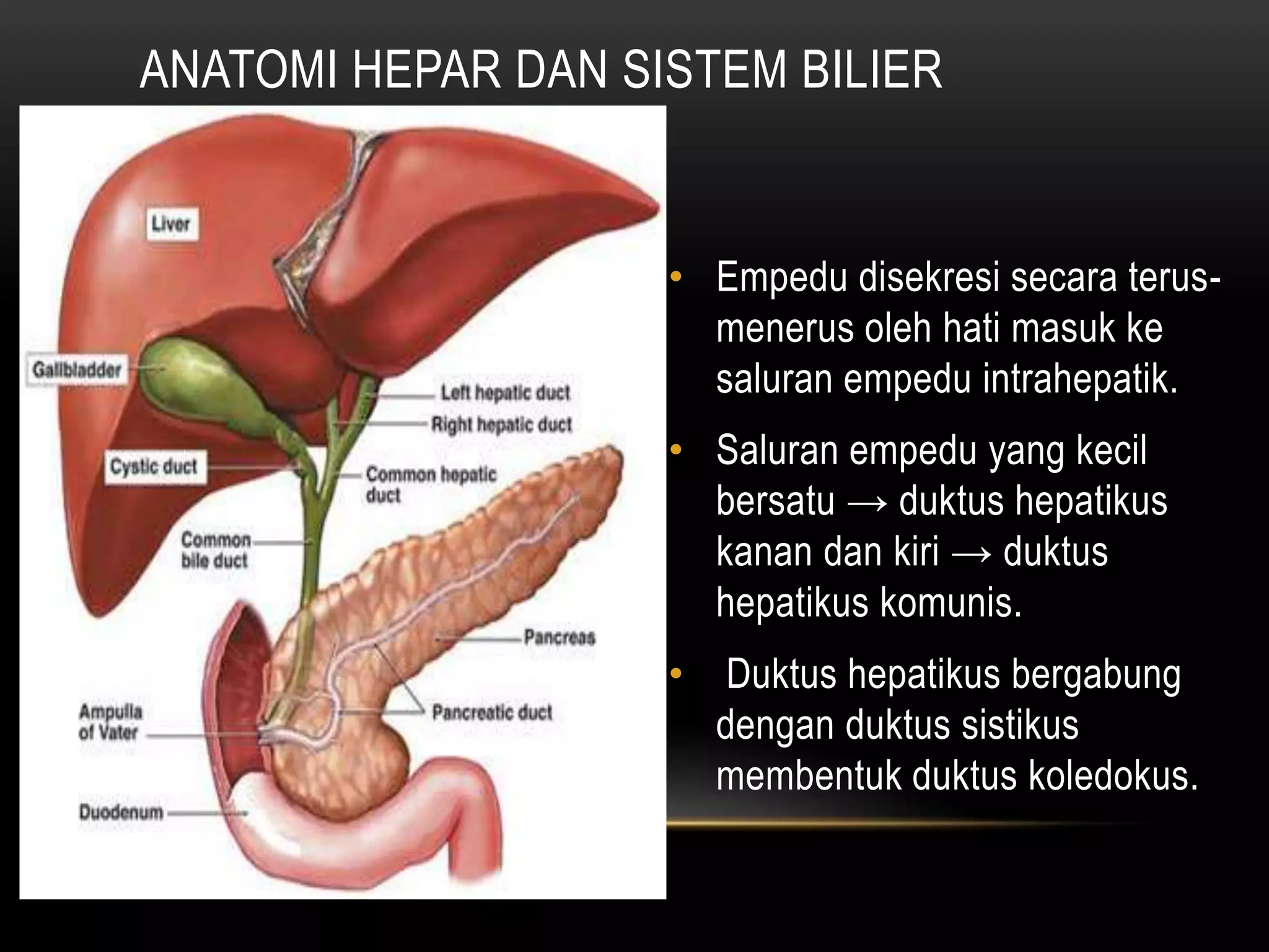 PPT KOLELITIASIS.ppt