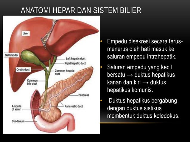 PPT KOLELITIASIS.ppt