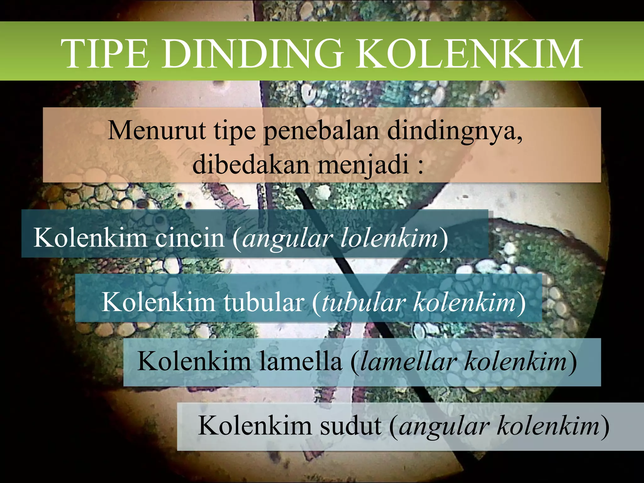 JARINGAN KOLENKIM | PPT