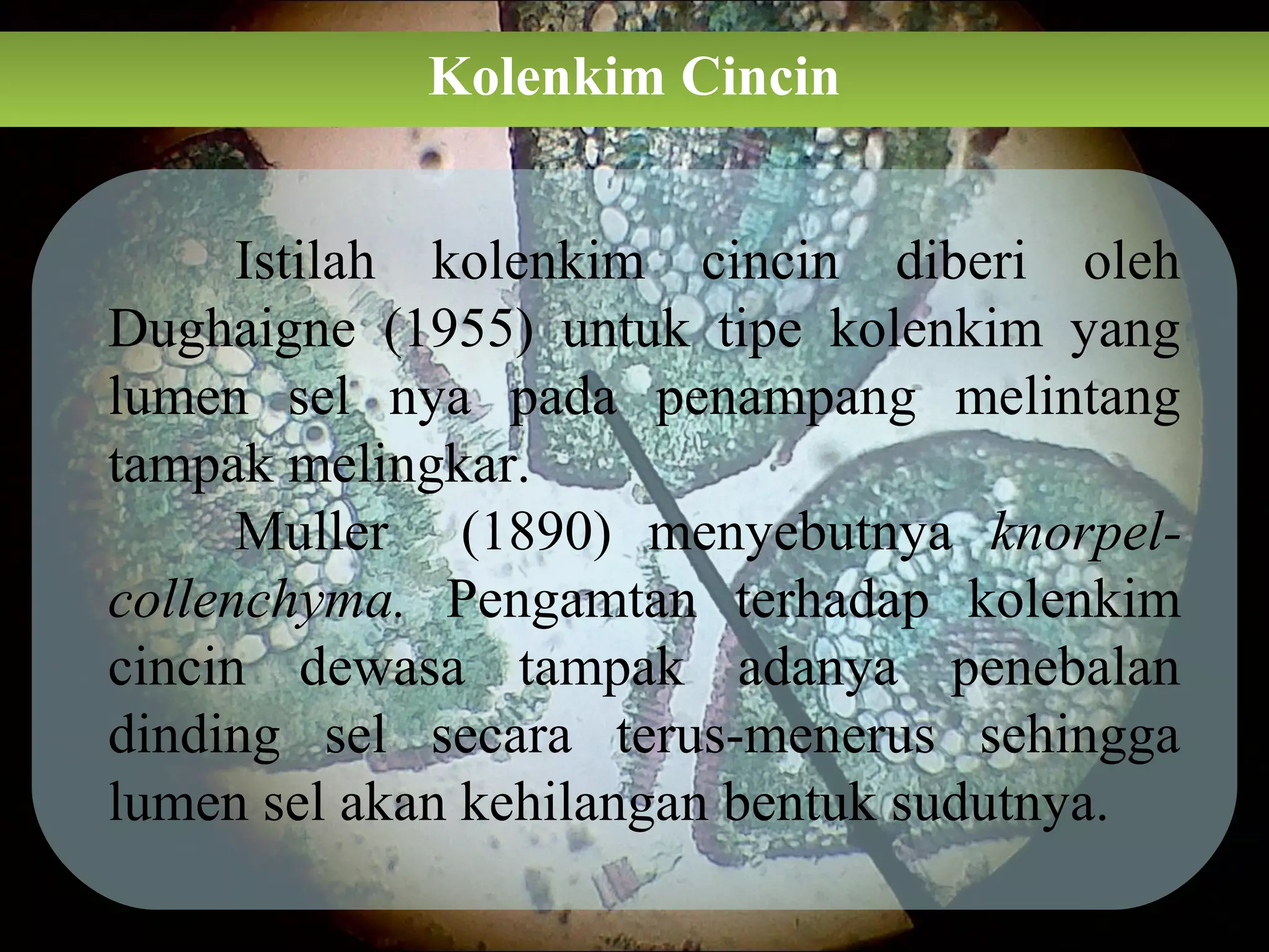 JARINGAN KOLENKIM | PPT