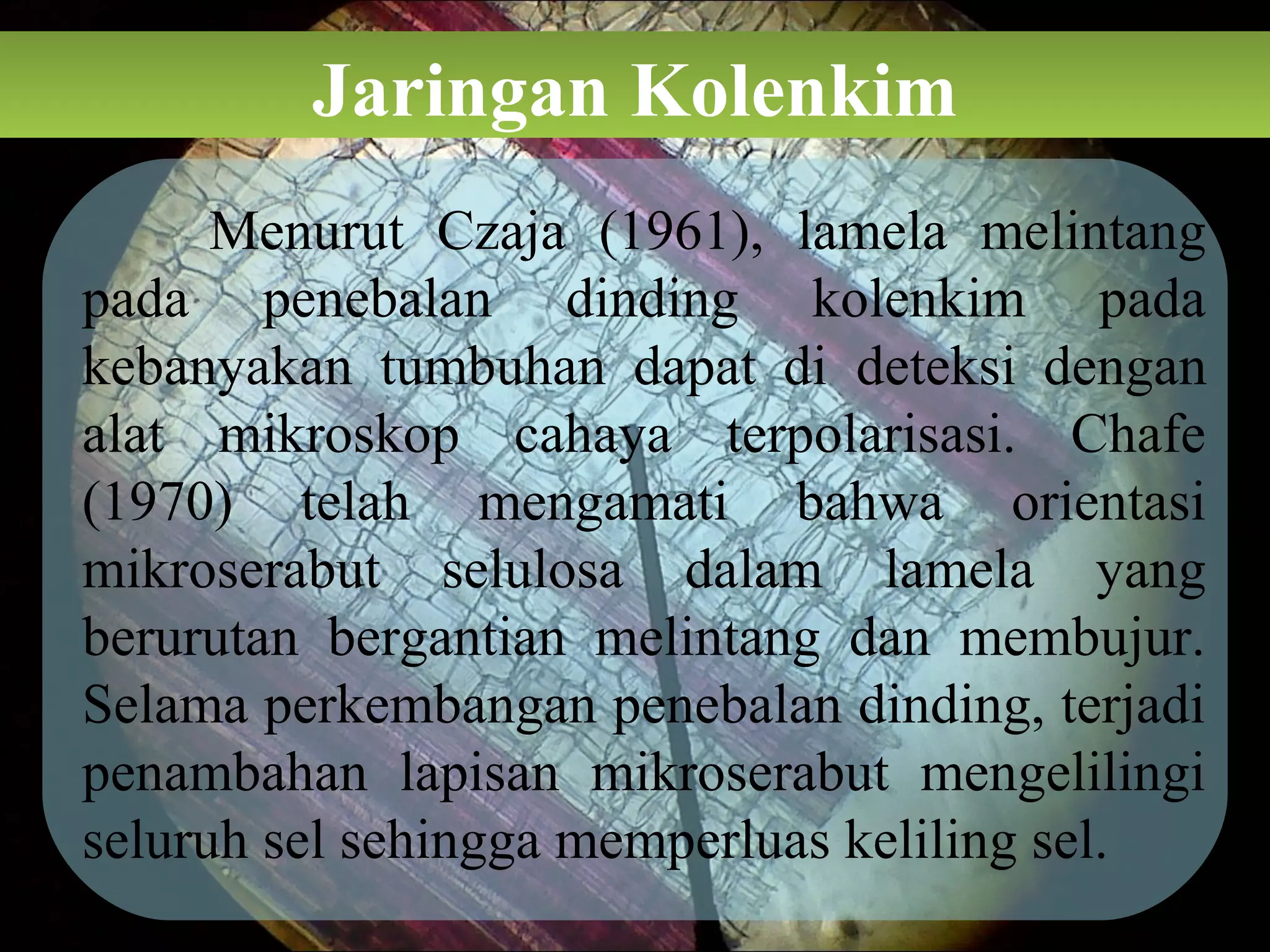 JARINGAN KOLENKIM | PPT
