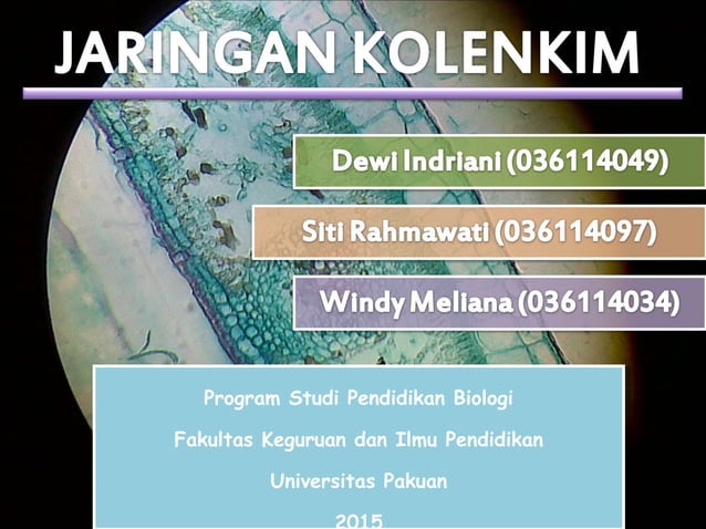 JARINGAN KOLENKIM | PPT