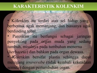 JARINGAN KOLENKIM | PPT