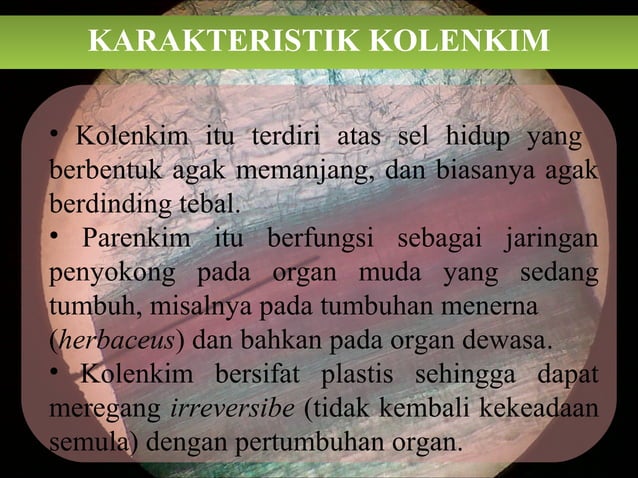 JARINGAN KOLENKIM | PPT