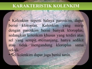JARINGAN KOLENKIM | PPT