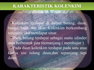 JARINGAN KOLENKIM | PPT