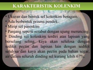 JARINGAN KOLENKIM | PPT