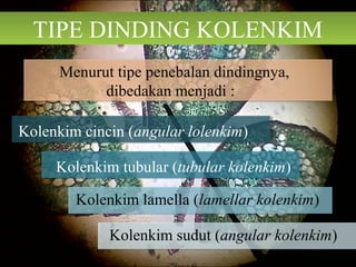 JARINGAN KOLENKIM | PPT
