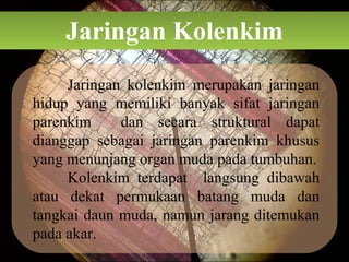 JARINGAN KOLENKIM | PPT