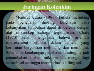 JARINGAN KOLENKIM | PPT