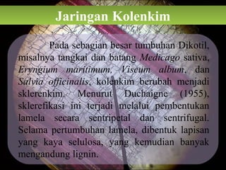 JARINGAN KOLENKIM | PPT
