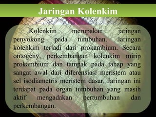 JARINGAN KOLENKIM | PPT