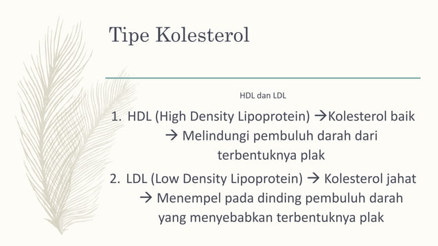 ppt kolesterol.pptx