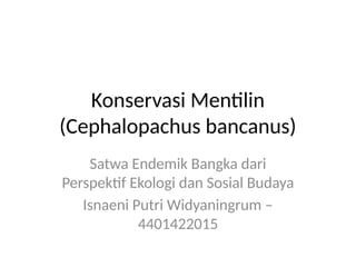 PPT_Konservasi_Mentilin Bangka Belitung semoga bermanfaat | PPTX