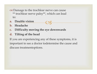 PPt Kritika Hada Cranial nerve system-1.pdf