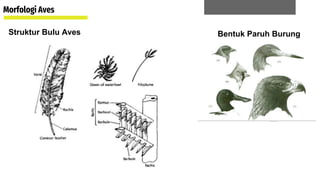 PPT KROMOSOM BURUNG_RPS10_FIX.pptx