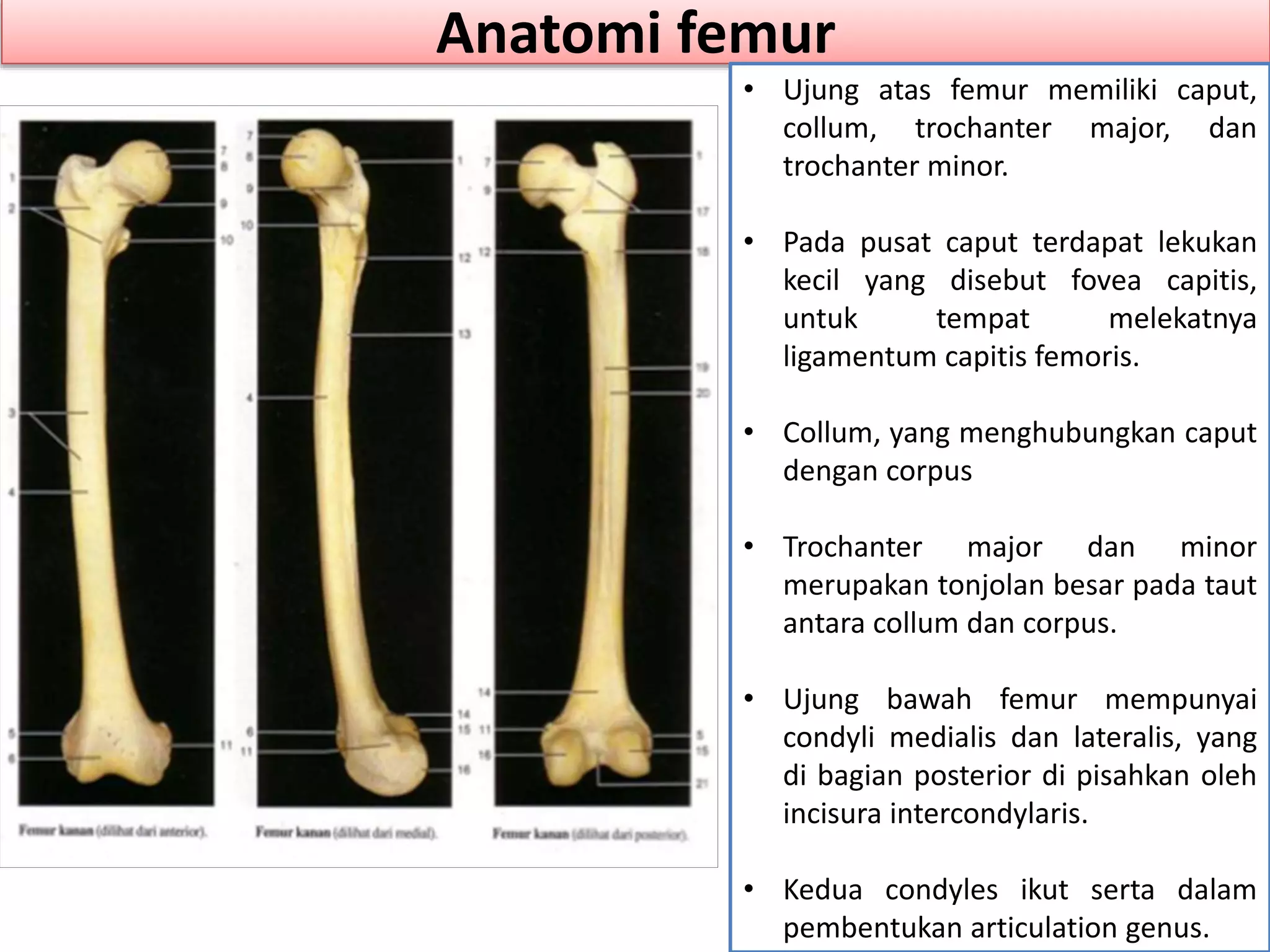 Ppt kti | PPTX