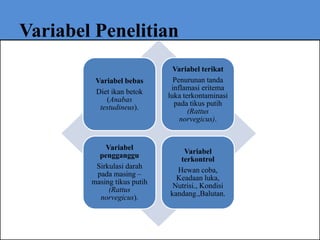 Ppt kti2 anes | PPTX