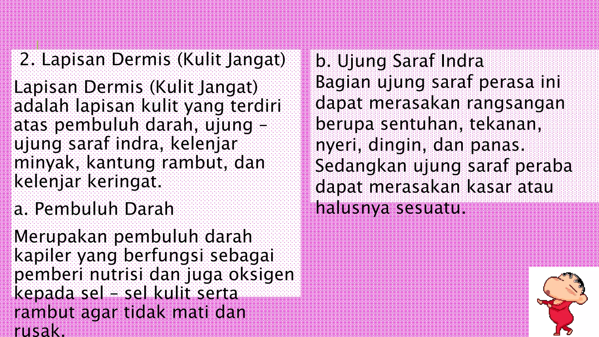 Kulit dan cara kerjanya | PPTX