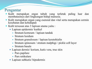 PPT KULIT KITA TENTANG ANATOMI TUBUH MANUSIA | PPT