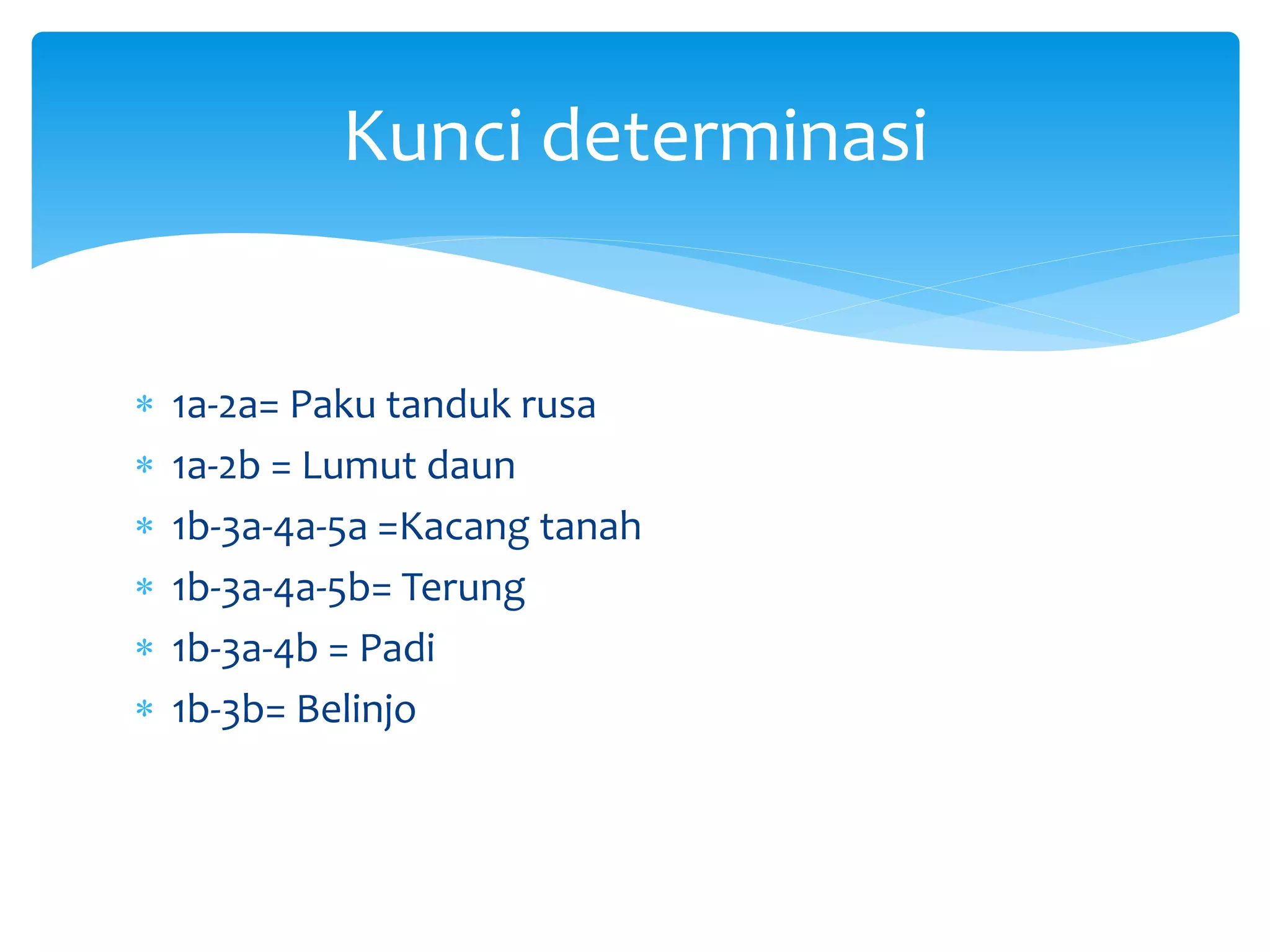 PPT KUNCI DETERMINASI=KLASIFIKASI MH.ppt