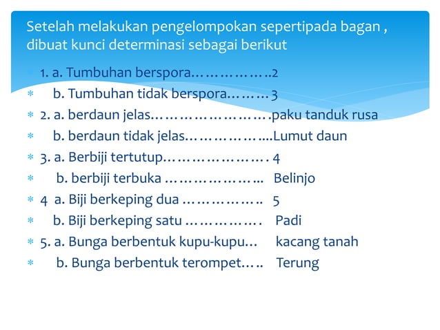 PPT KUNCI DETERMINASI=KLASIFIKASI MH.ppt