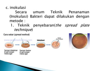 Ppt kuntivasi 5 | PPTX