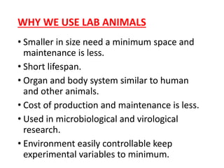 Importance of lab animal.pptx