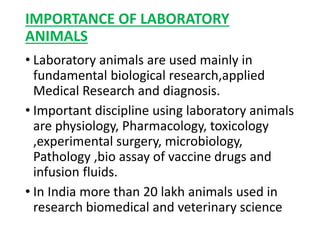 Importance of lab animal.pptx