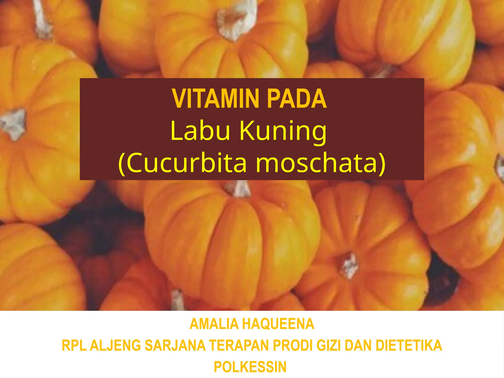 PPT KANDUNNGAN GIZI PADA LABU KUNING WALUH.pptx