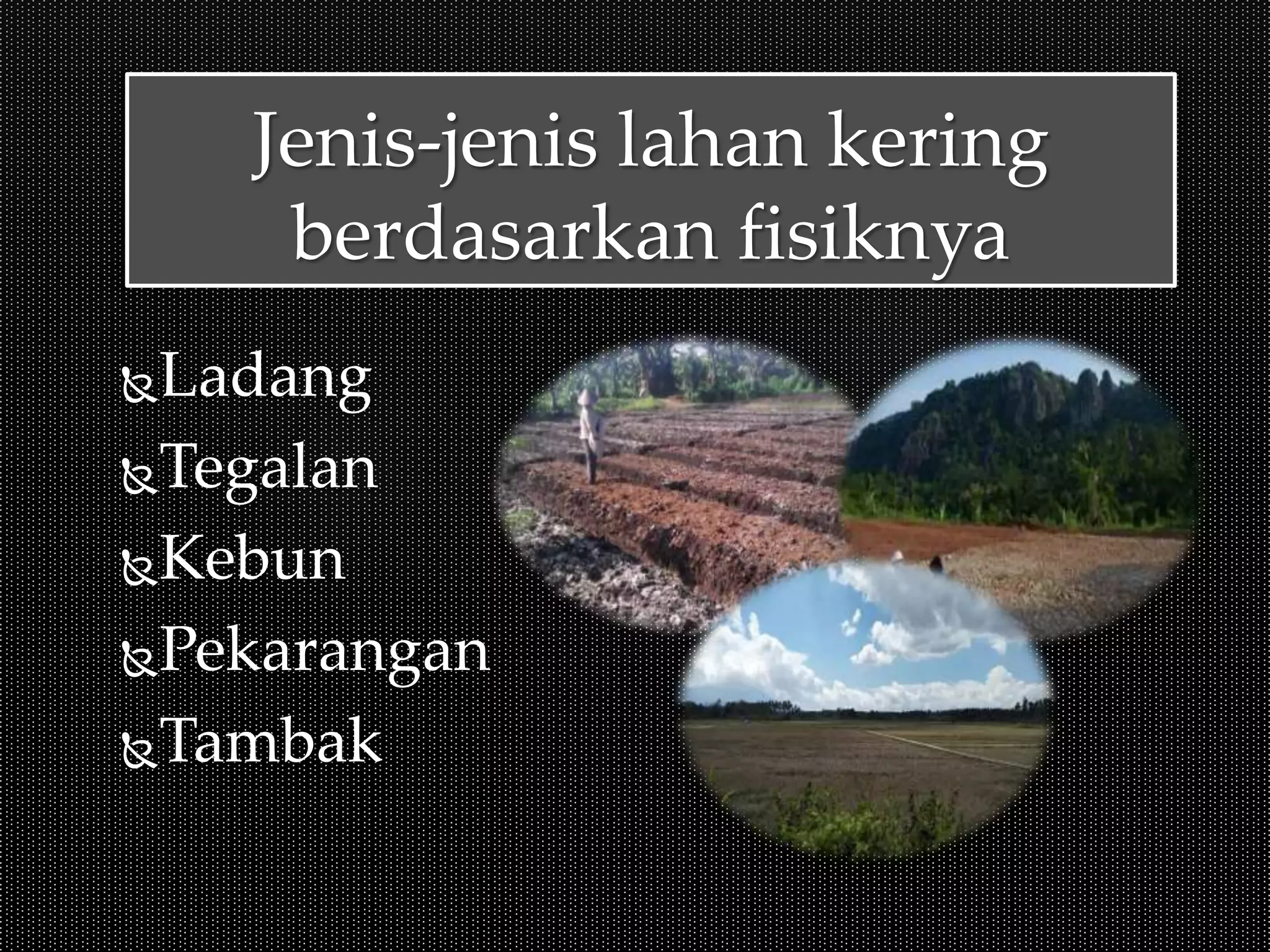 Ppt lahan kering kel.2 | PPTX