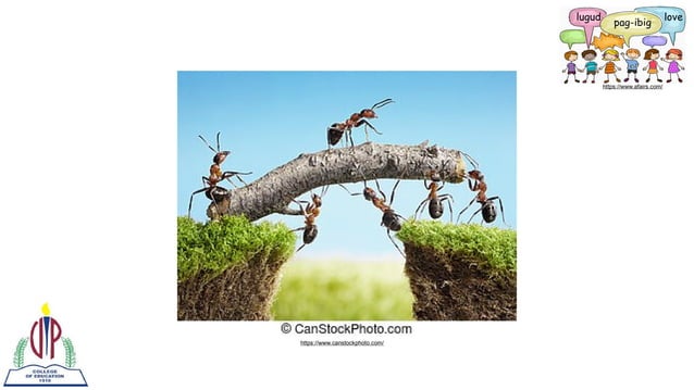 PPT Language Transition Process.....pptx