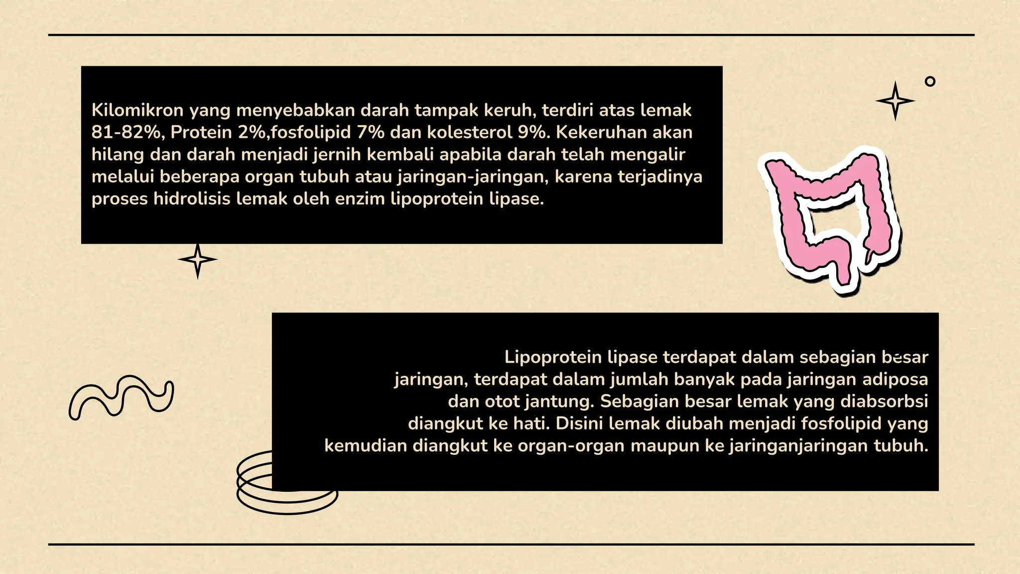 metabolisme lipid | PPTX