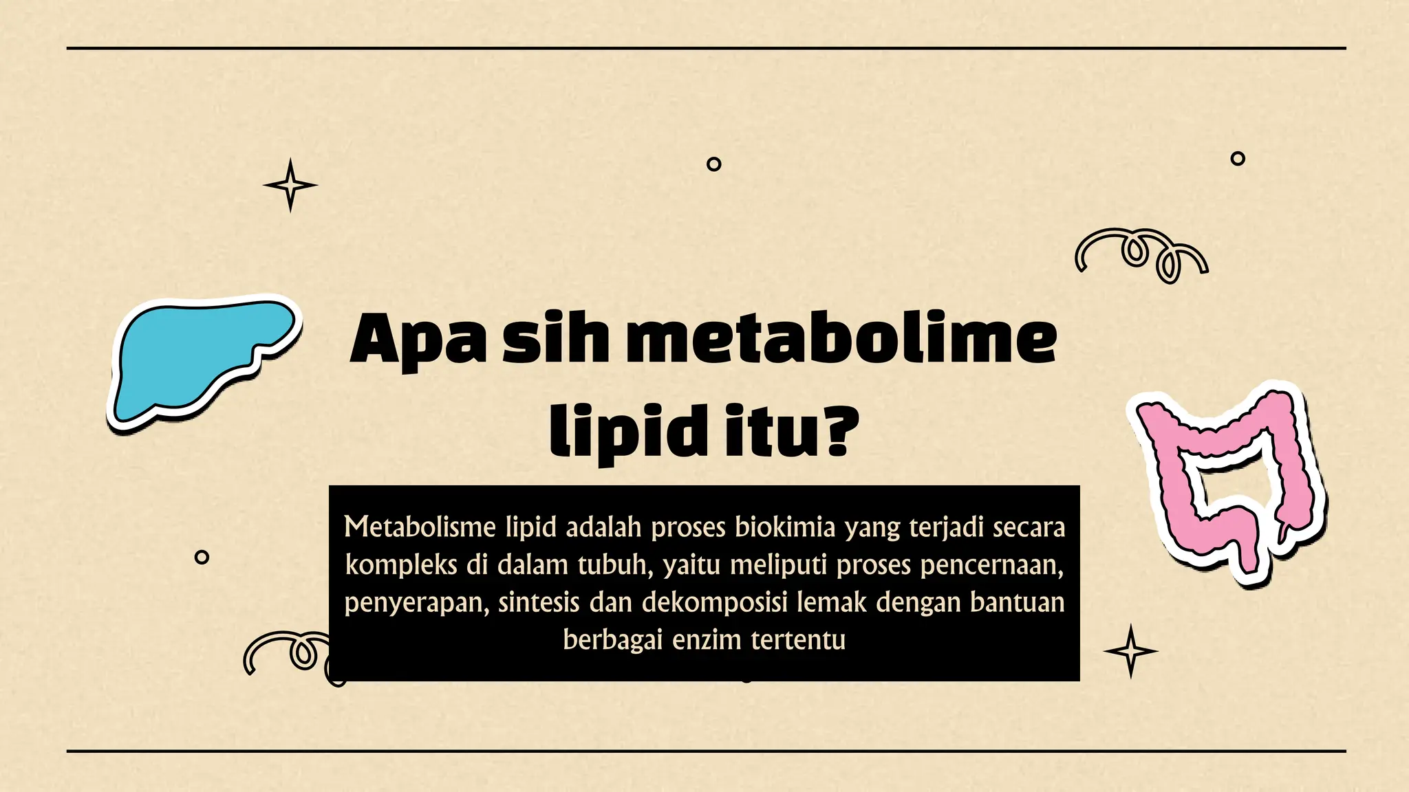 metabolisme lipid | PPTX