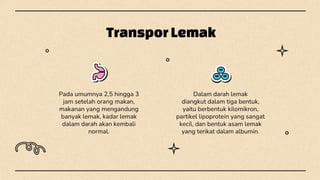 metabolisme lipid | PPTX